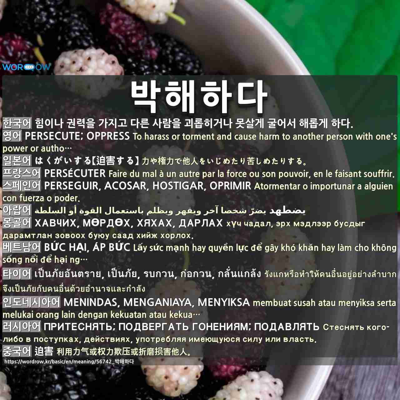 박해하다: PERSEGUIR, ACOSAR, HOSTIGAR, OPRIMIR