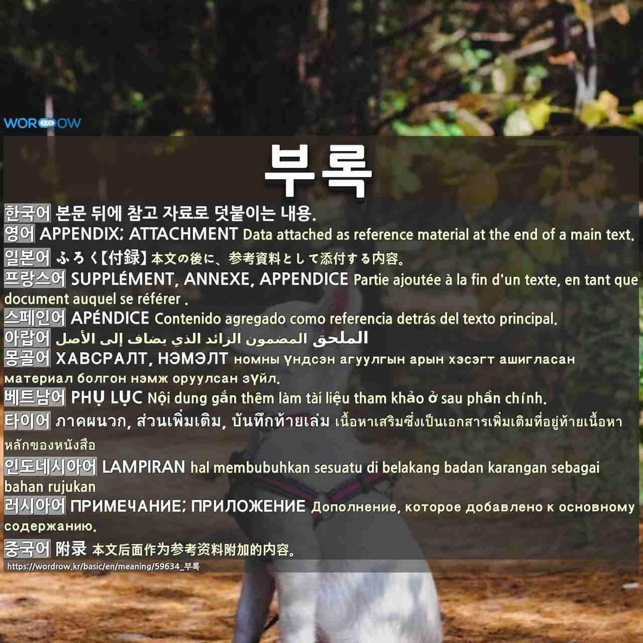 부록: (1)SUPPLÉMENT, ANNEXE, APPENDICE (2)SUPPLÉMENT, ANNEXE, APPENDICE