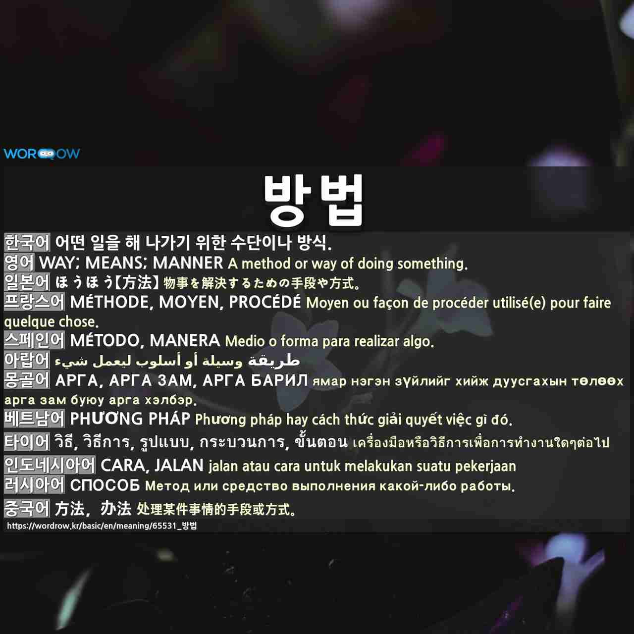 방법: WAY; MEANS; MANNER