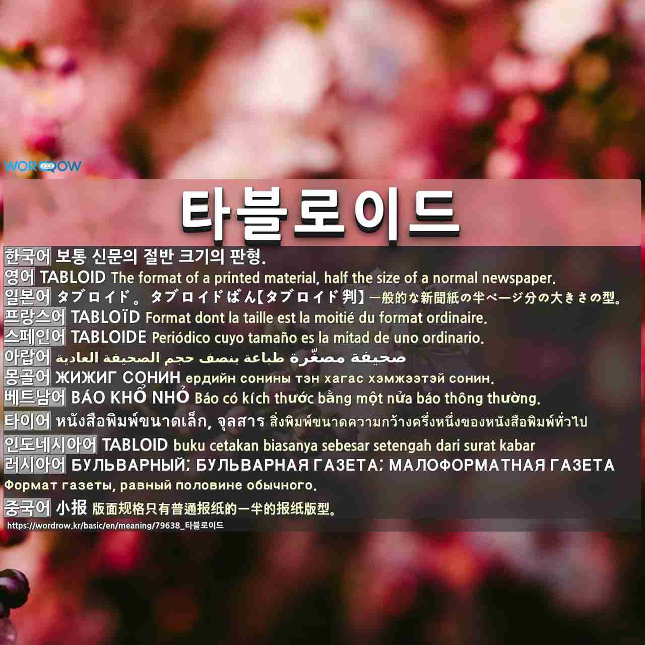 타블로이드(tabloid)