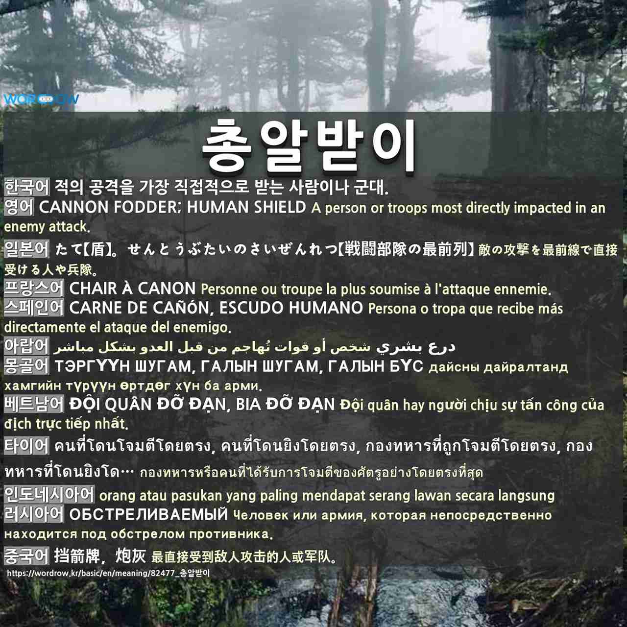 총알받이: CANNON FODDER; HUMAN SHIELD