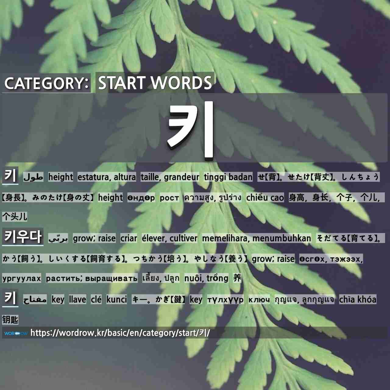 START WORDS[NO_LEVEL]: 키: (1)TIMÓN[키] (2)AVENTADOR[키] (3)NO HAY PERSONA ...