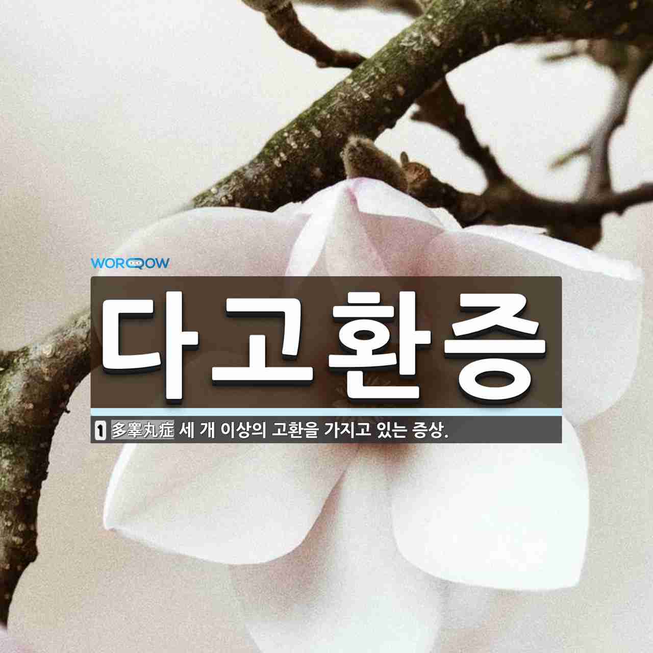 다고환증 뜻: 세 개 이상의 고환을 가지고 있는 증상.