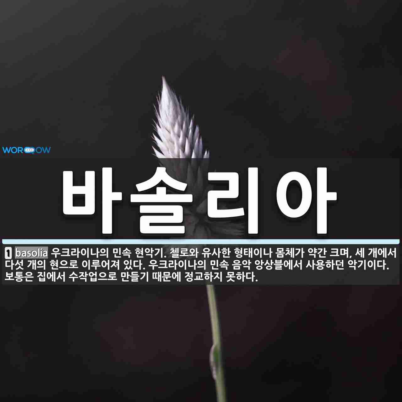 바솔리아 뜻: 우크라이나의 민속 현악기. 첼로와 유사한 형태이나 몸체가 약간 크며, 세 개에서 다섯 개의