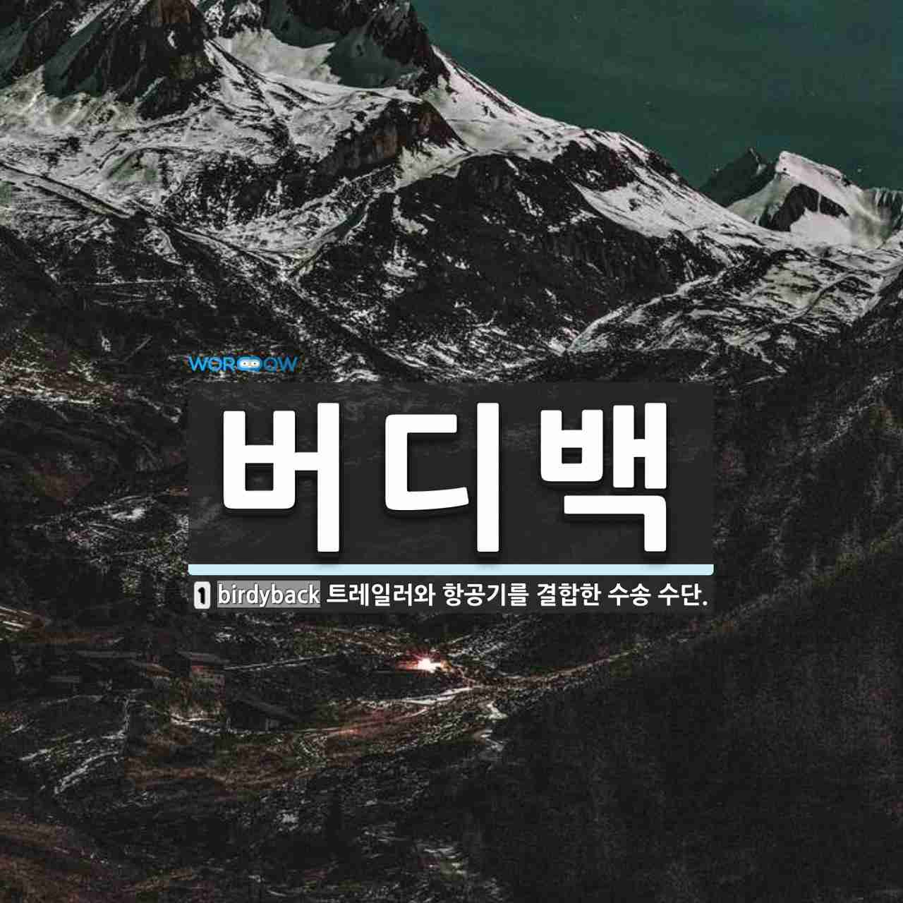 버디백 뜻: 트레일러와 항공기를 결합한 수송 수단.