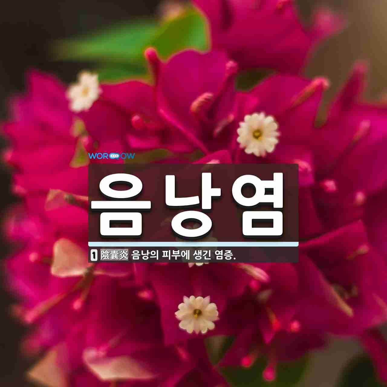 음낭염 뜻: 음낭의 피부에 생긴 염증.