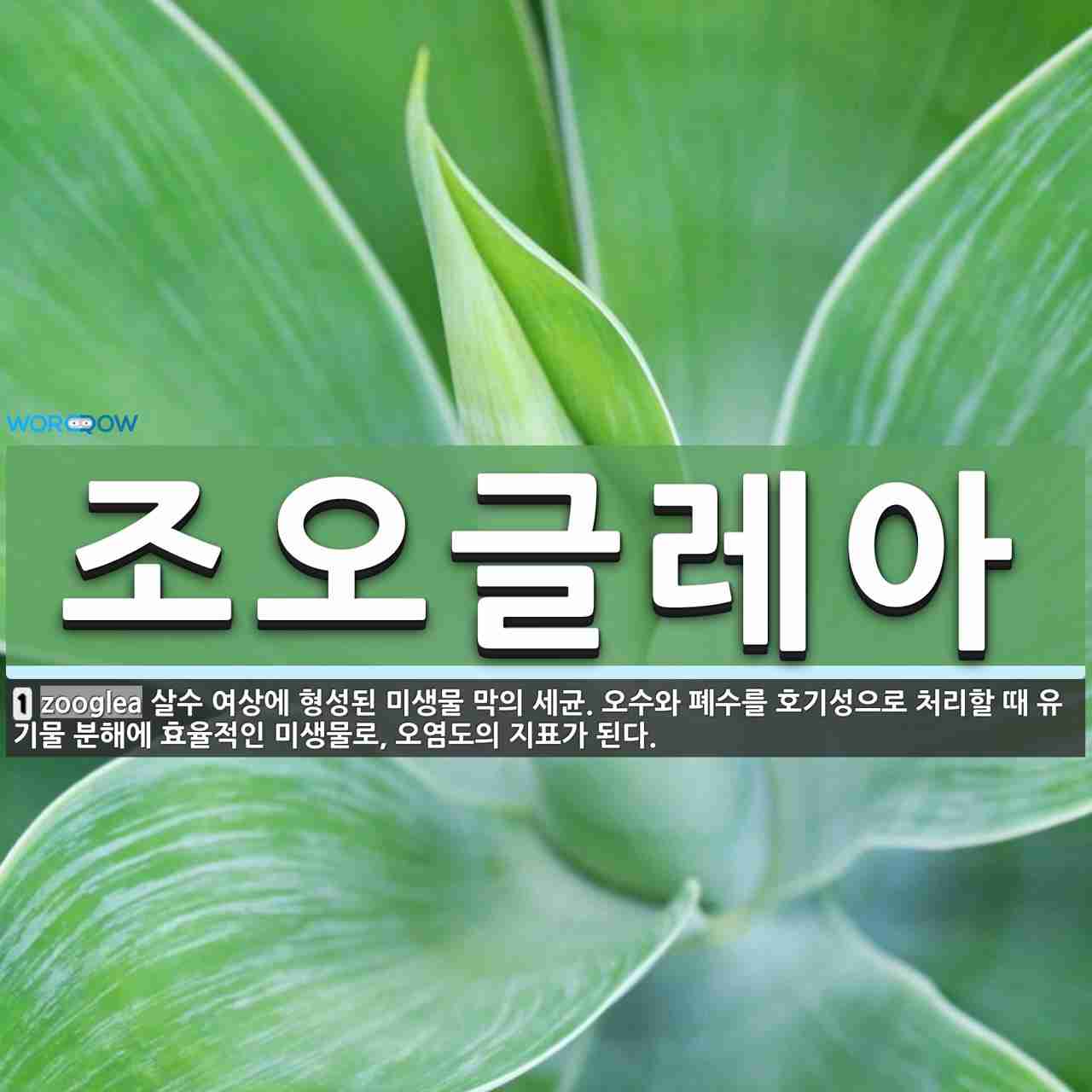 조오글레아 뜻: 살수 여상에 형성된 미생물 막의 세균. 오수와 폐수를 호기성으로 처리할 때 유기물 분해에