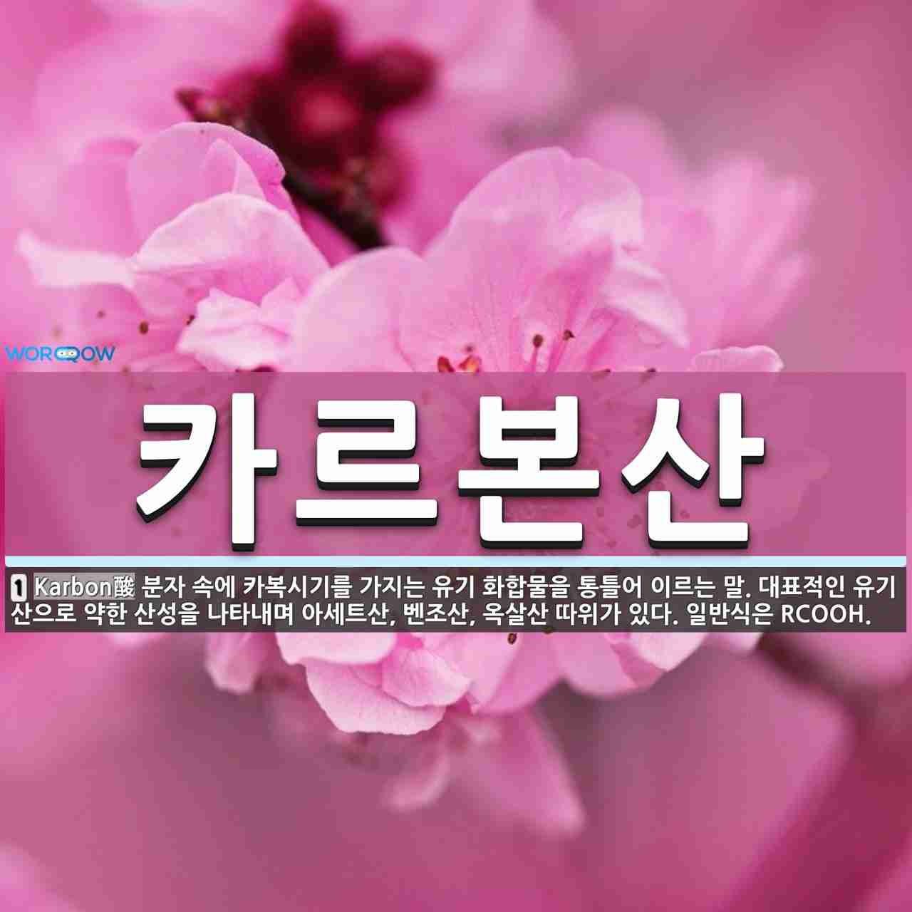 카르본산 뜻: 분자 속에 카복시기를 가지는 유기 화합물을 통틀어 이르는 말. 대표적인 유기산으로 약한 산