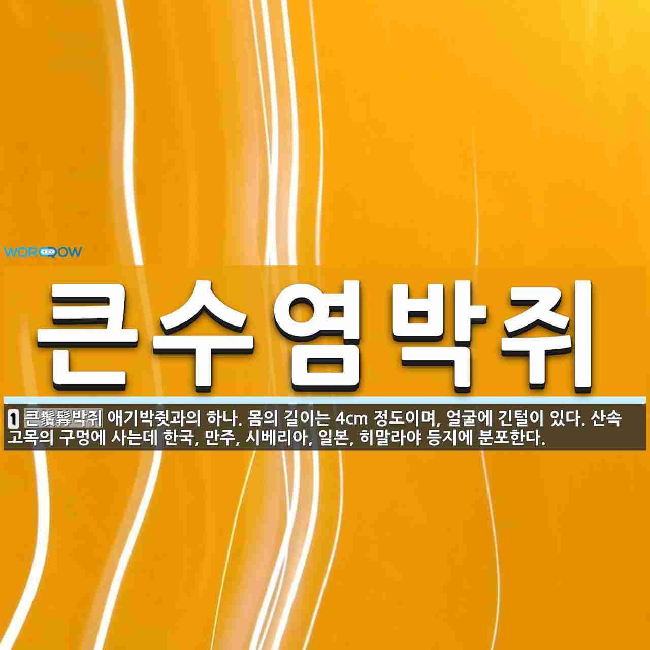 큰수염박쥐 뜻: 애기박쥣과의 하나. 몸의 길이는 4cm 정도이며, 얼굴에 긴털이 있다. 산속 고목의 구멍에
