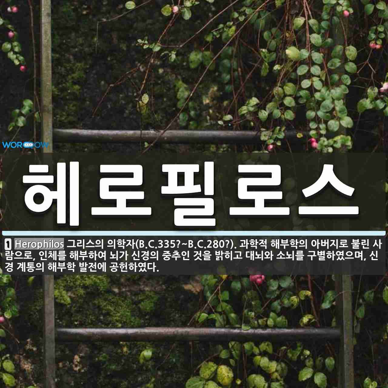 헤로필로스 뜻: 그리스의 의학자(B.C.335?~B.C.280?). 과학적 해부학의 아버지로 불린 사람으로